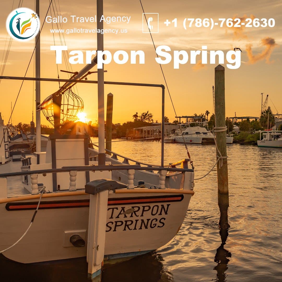 5 cosas que hacer en Tarpon Springs - Gallo Travel Agency